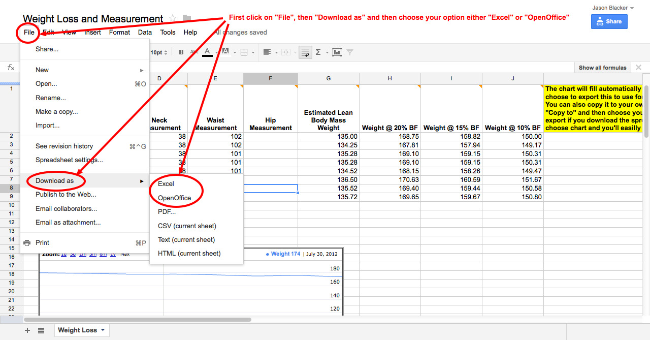 Saving Spreadsheet As OO Or Excel Vegan Valor